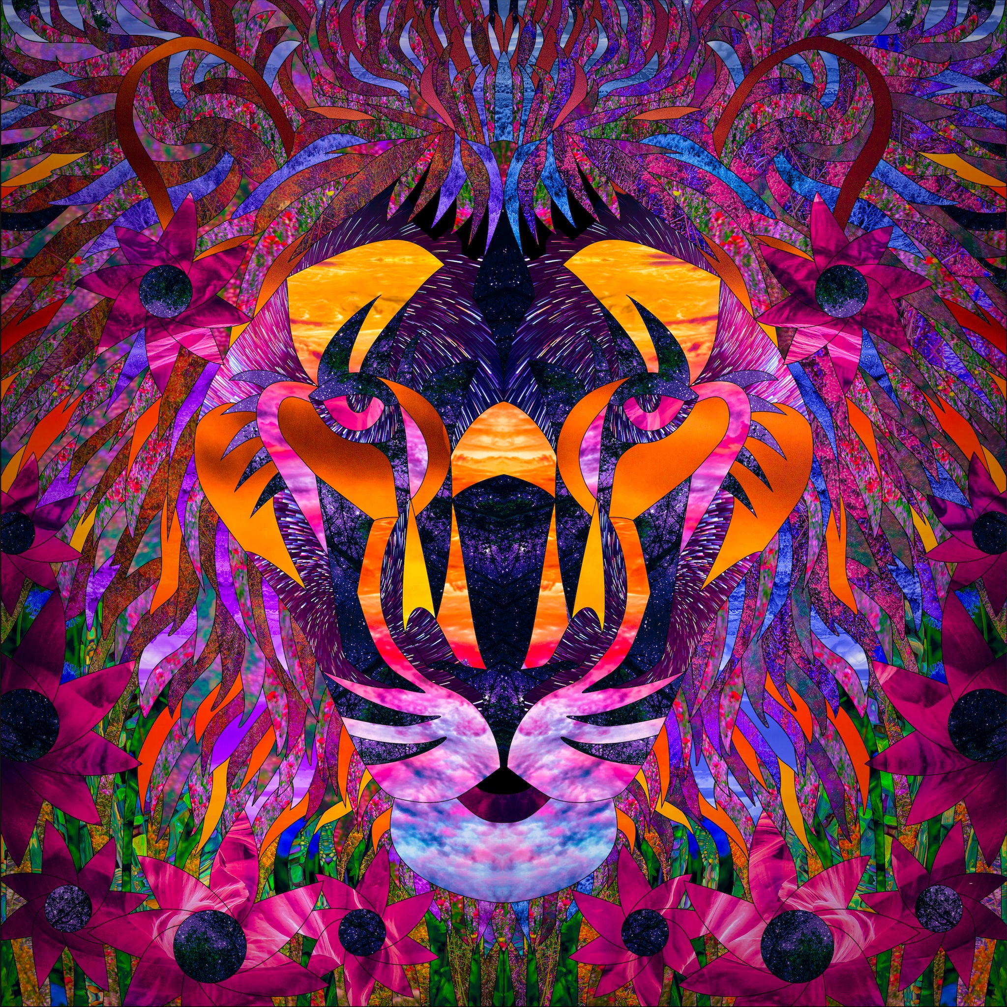 Martin Garrix Lion